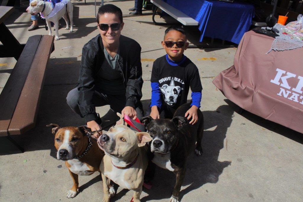 Volunteer | Brave Bully Rescue